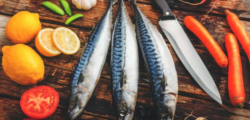 Irish mackerel quota agreement brings stability | Commercial Fishing News