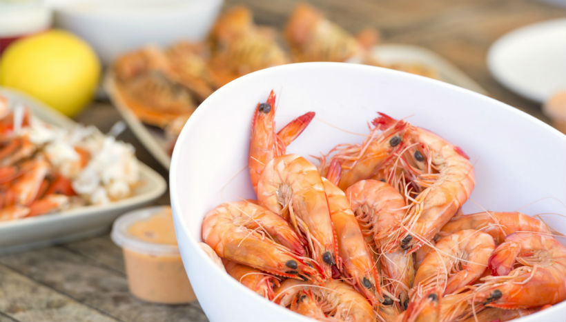 Aussie seafood leader takes helm | Seafood News
