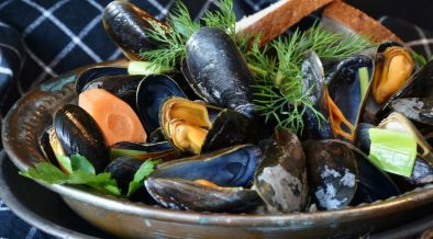 Canada invests in mussel research and breeding programme