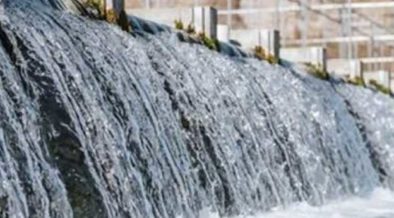Riverence Provisions Approved for FishCARE Standard | Fish Focus