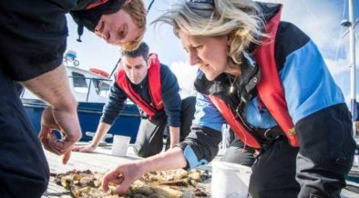 Global Aquaculture Researcher Wins ‘Outstanding Contribution’