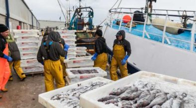 SeaFest Peterhead to Bring New Seafood Festival Experience