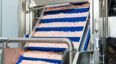 New Cold Store for NE Prawn Processor | Fish Focus