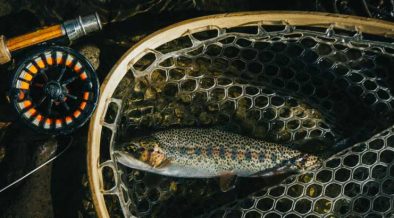 Environment Agency and Angling Trust Extend Partnership