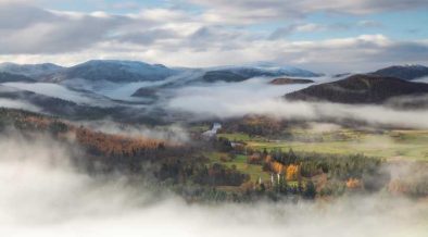 Science to Support Scottish Salmon Recovery | Fish Focus