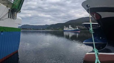 Bad Weather for Norwegian Mackerel Boats | Fish Focus