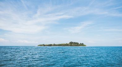 Snapshot of Large-Scale Tropical Tuna Purse Seine Fishing Fleets
