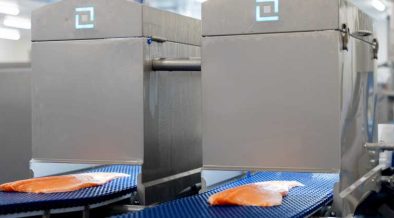 Rapid Engineering Launches Revolutionary Vision System