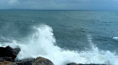 Ocean Knowledge 2030 Conference | Fish Focus