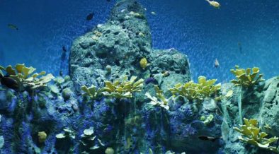 International Scientific Community Calls for Urgent Action