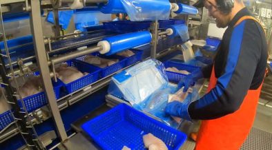 Efficient Onboard Processing and Freezing of FAS Fillets
